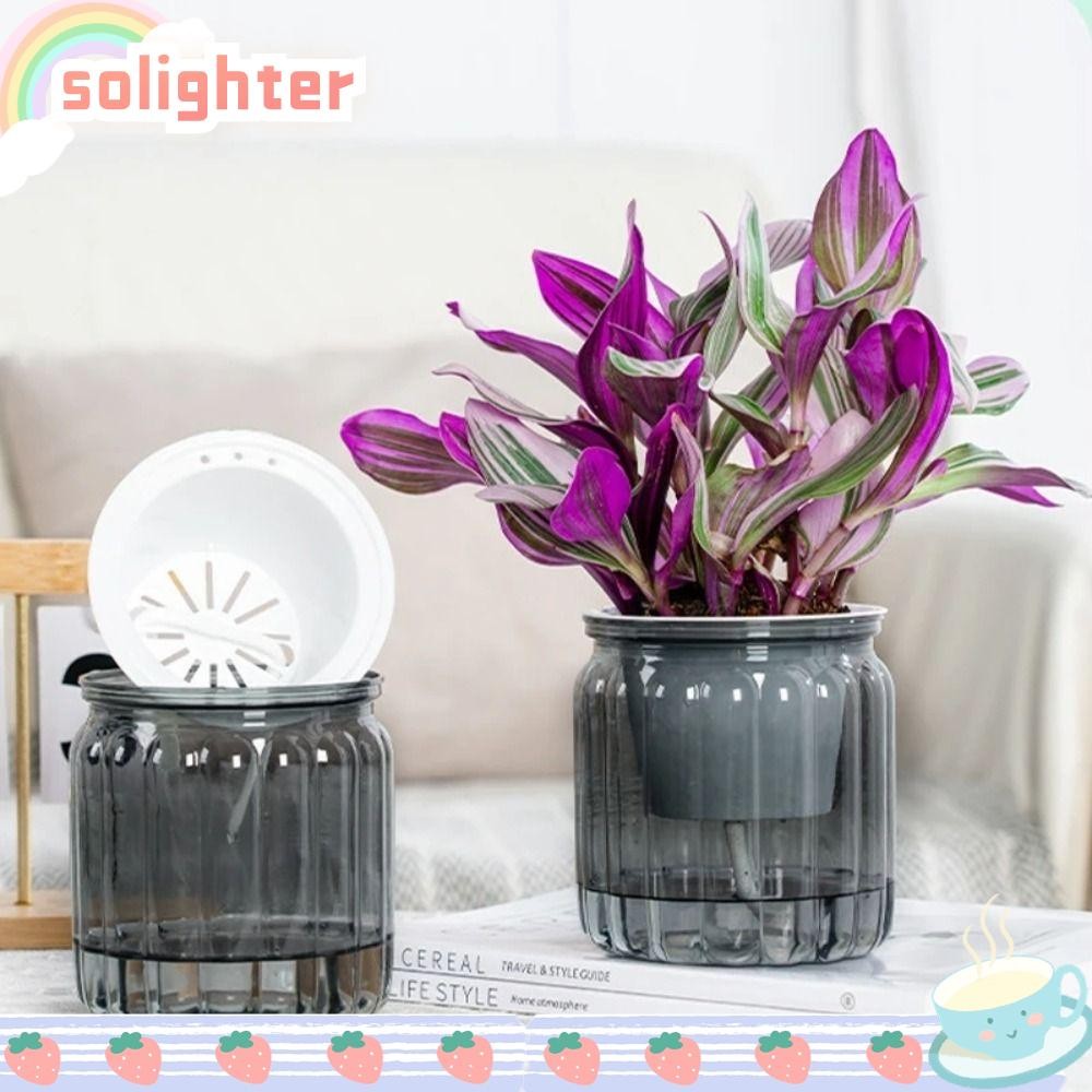 SOLIGHTER Hydroponic Plants Pot, Removable Self Watering Flowerpot ...