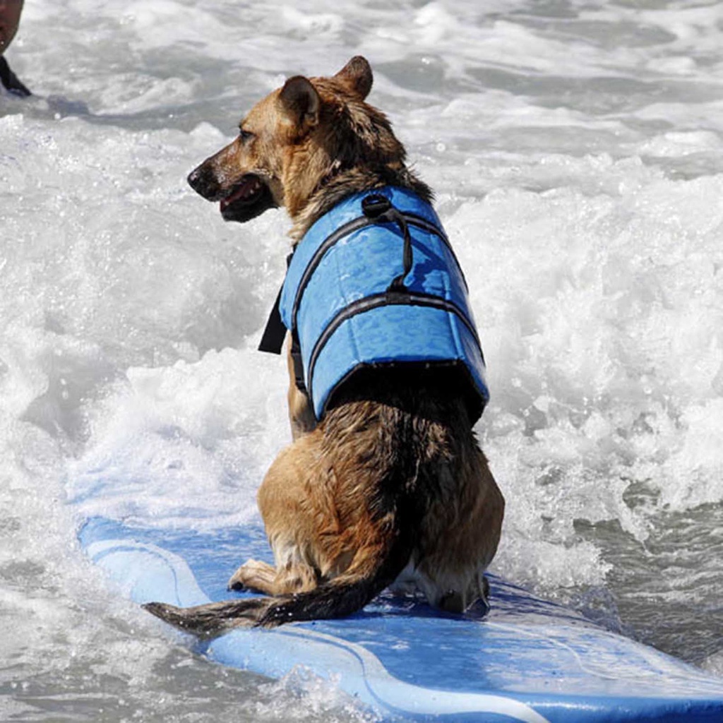 Multi-Sizes Dog Life Jacket High Floatation Pet Puppy Swimming Vests ...