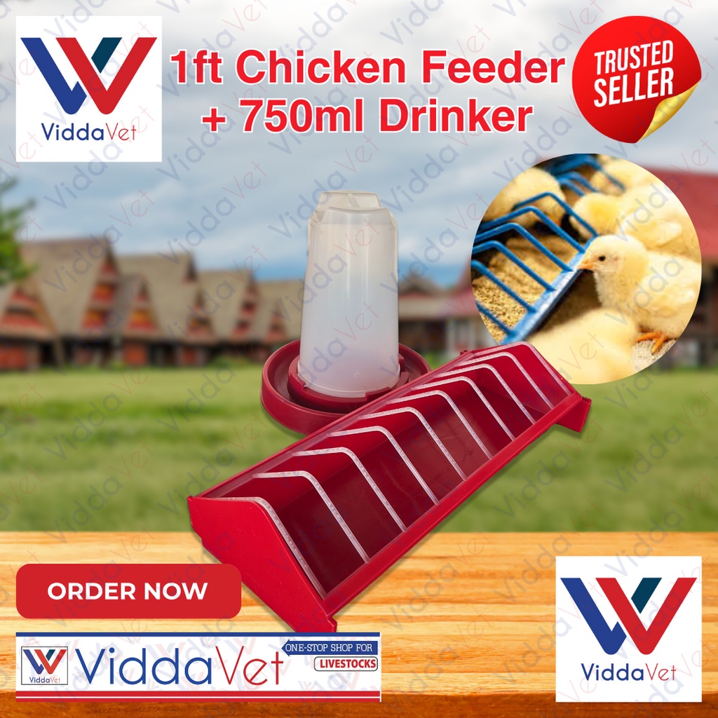 1ft Chicken Feeder + 750 ml Drinker Chicken Farm Plastic Automatic ...