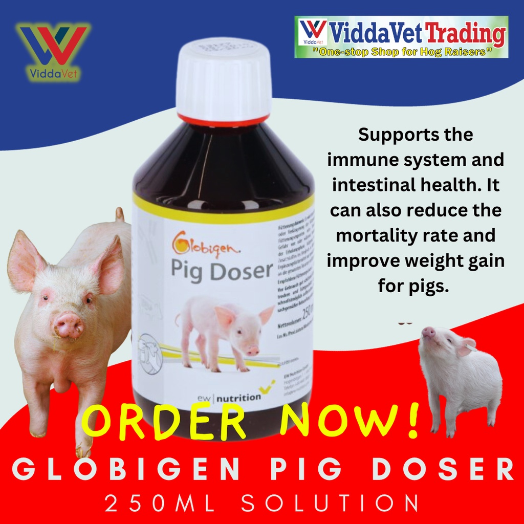 250ml Globigen Pig Doser immune booster for pigs livestock piglets ...