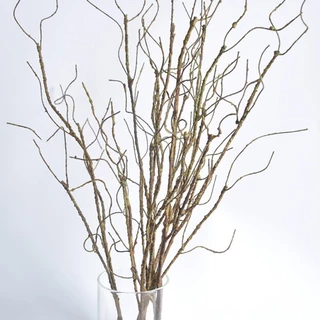 twigs - Best Prices and Online Promos - Apr 2025 | Shopee Philippines