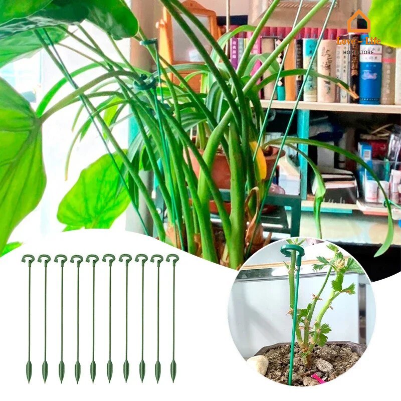 Convenient Practical Potted Flowers Stems Growth Auxiliary Fixed ...