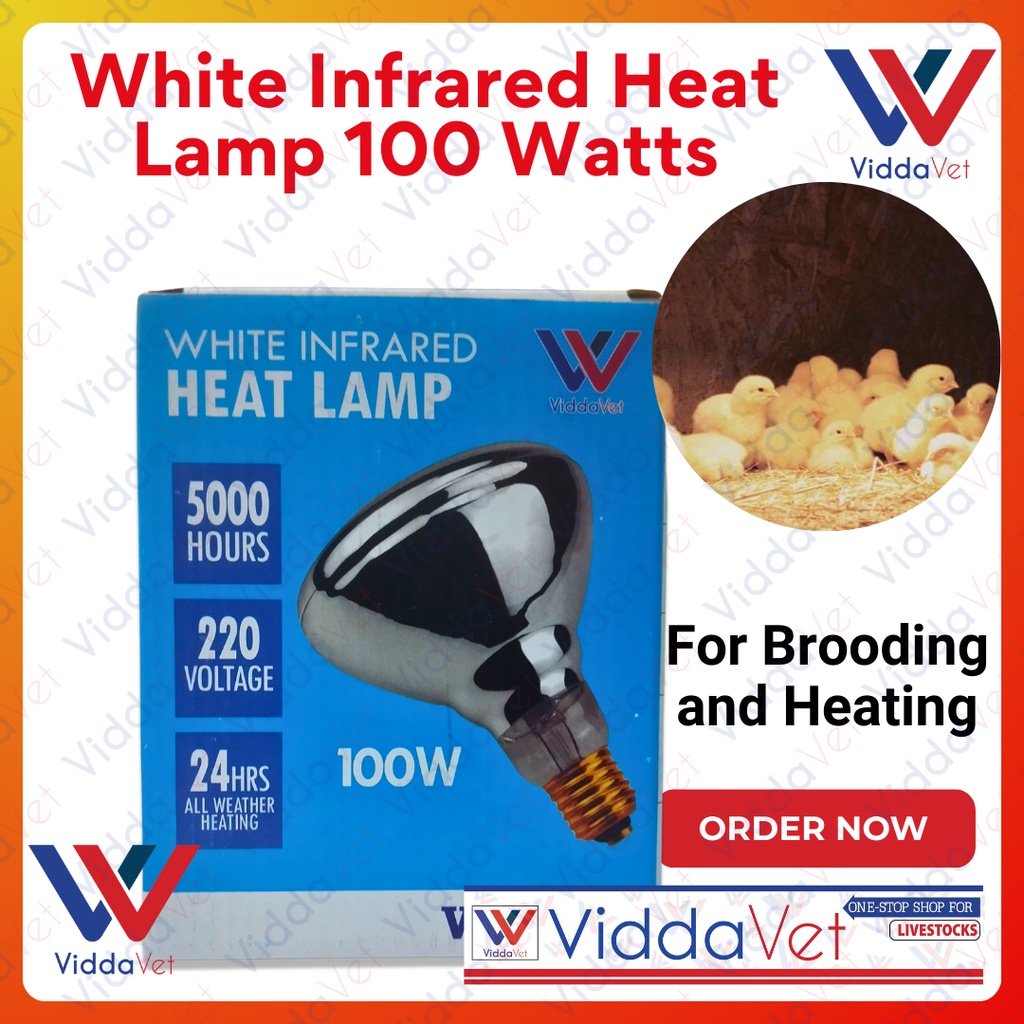 Piggery and Poultry Viddavet BROODER Heat LAMP Bulb 100 watts for ...