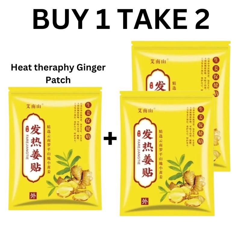 BUY 1 TAKE 3 80Pcs/pack Herbal Ginger Patch Heat Patch Knee Neck Back ...