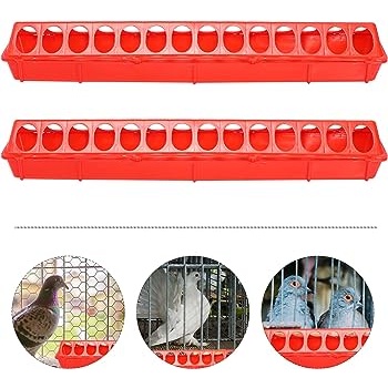Linear Feeder Poultry Long 28Holes 50cm Bird Pigeons chicken linear ...
