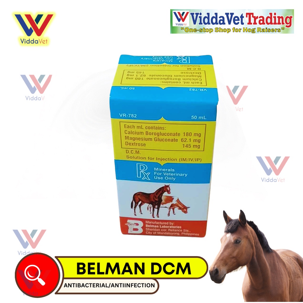 Belman DCM solution for inj 50ml Minerals Dex calcium magnesium horse ...