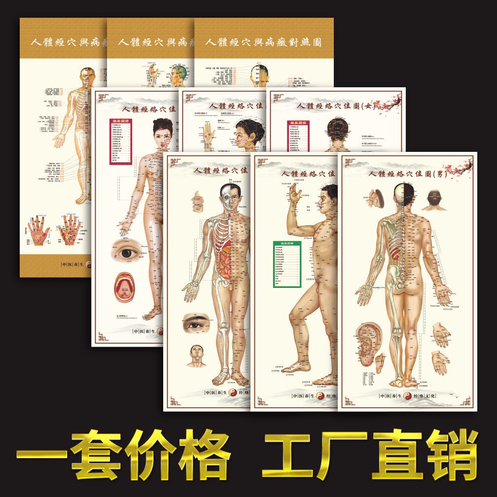 Big Promotion Acupuncture Map Chinese Medicine Acupuncture Map ...