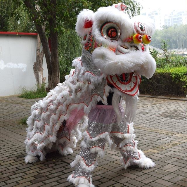 Lion dance props complete set adult double full set dragon dance lion ...