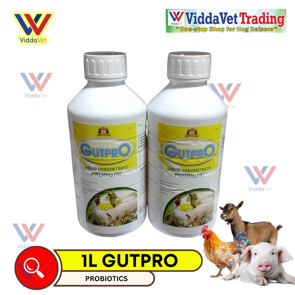 1L GutPro Liquid Concentrated Probiotics for chicken poultry pig ...