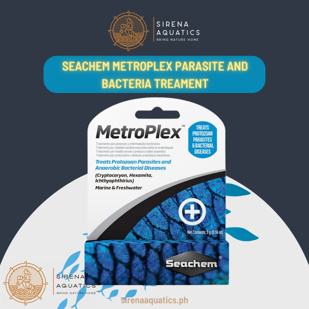 Seachem MetroPlex Fish Medication for Protozoan & Anaerobic Bacterial ...