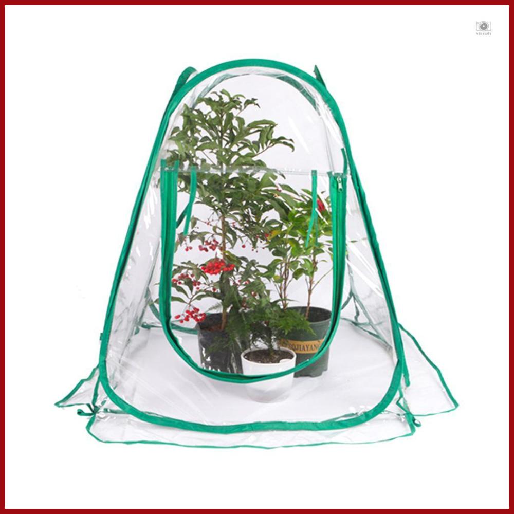 Mini Plant Cover Pop Up PVC Greenhouses Dust Cover for Flower Grow ...