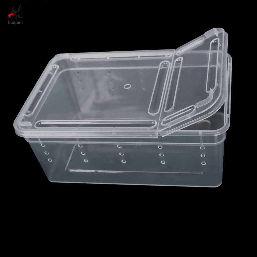 Reptile Breeding Box Lizard Tarantula Cage Hatching Container | Shopee ...