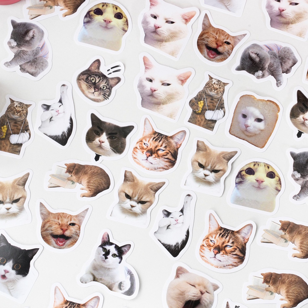 46 Pcs Small Size Scrapbook Stickers DIY Decoration Cute Cats Stickers ...