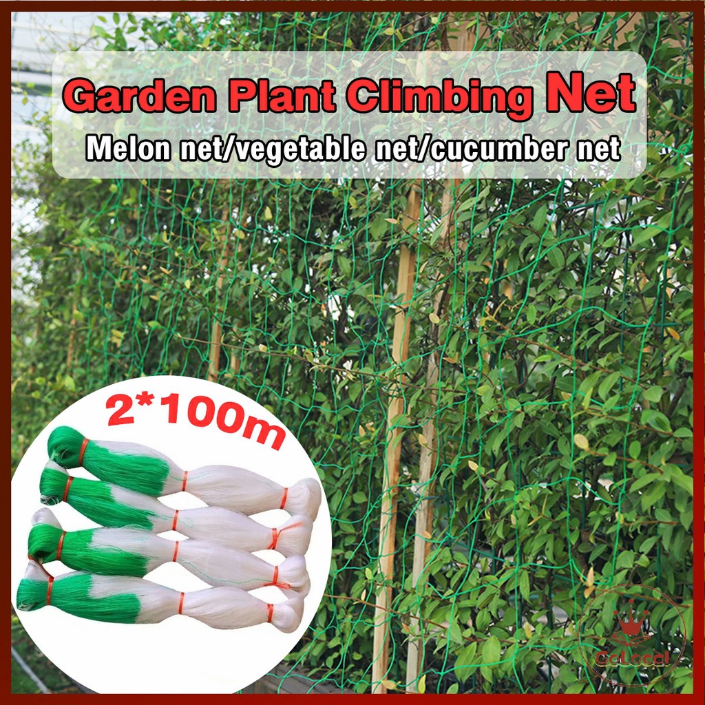 GoLocal Garden Plant Climbing Net Vegetables Cucumber Trellis Net ...