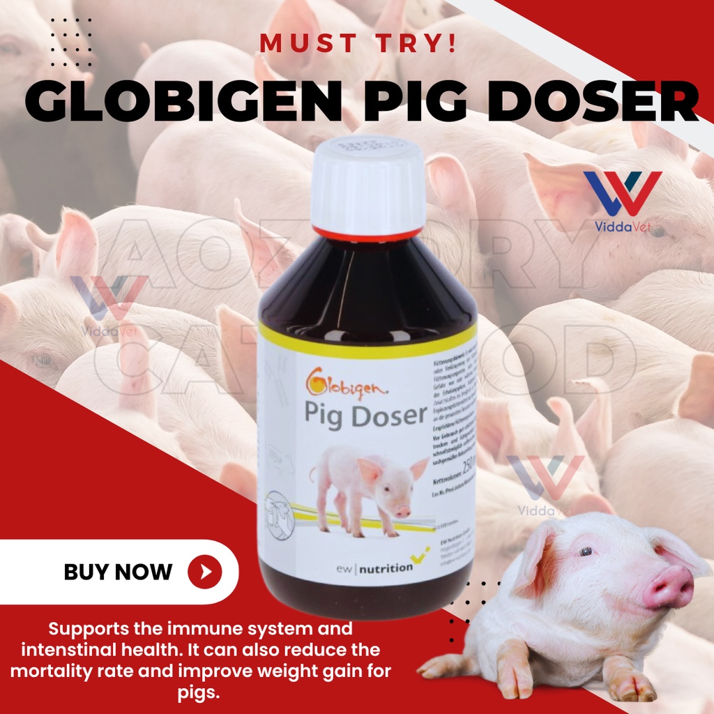 Globigen Pig Doser immune booster solution for pigs livestock piglets ...