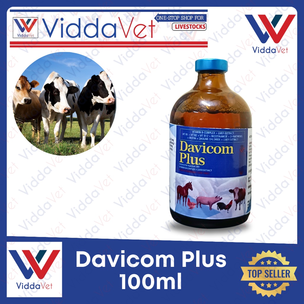 100ml Davicom plus Viddavet B-complex +Liver Extract for swine, poultry ...