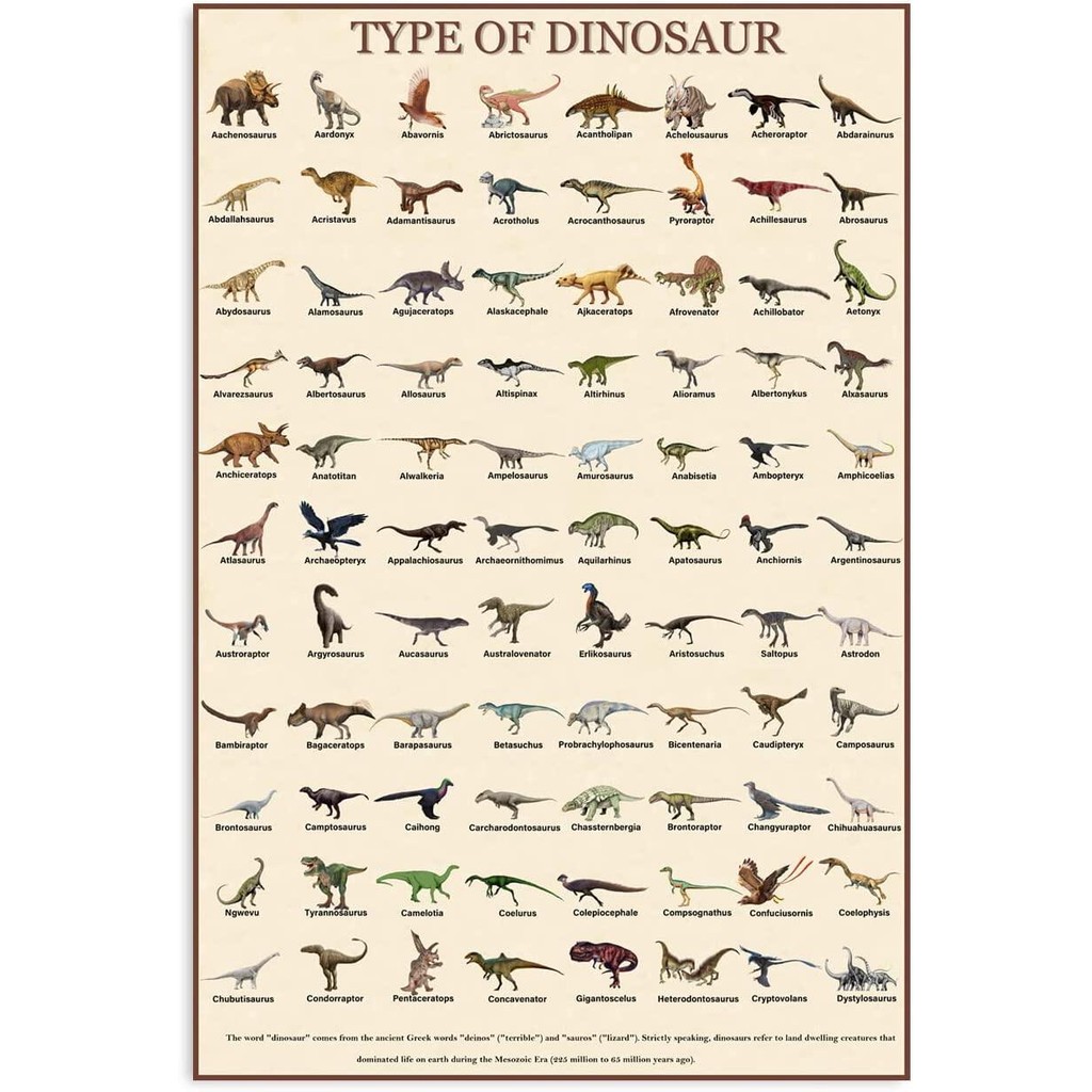 Dinosaur Poster with Names Vintage Dinosaur Chart Poster Types of ...