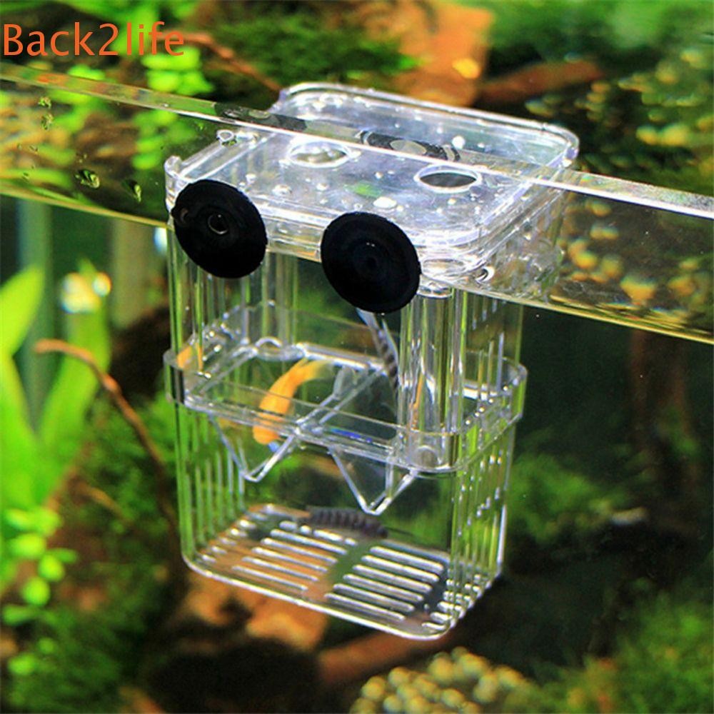 BACK2LIFE Hatchery Transparent Multifunctional For Baby Fishes Guppy ...
