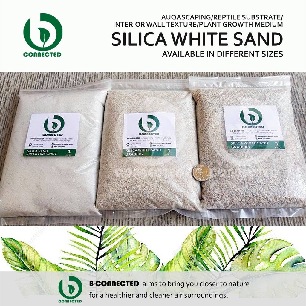 ♞SILICA SAND WHITE (GRADE#3 - 1KILO) BY BCONNECTED / AQUARIUM ...