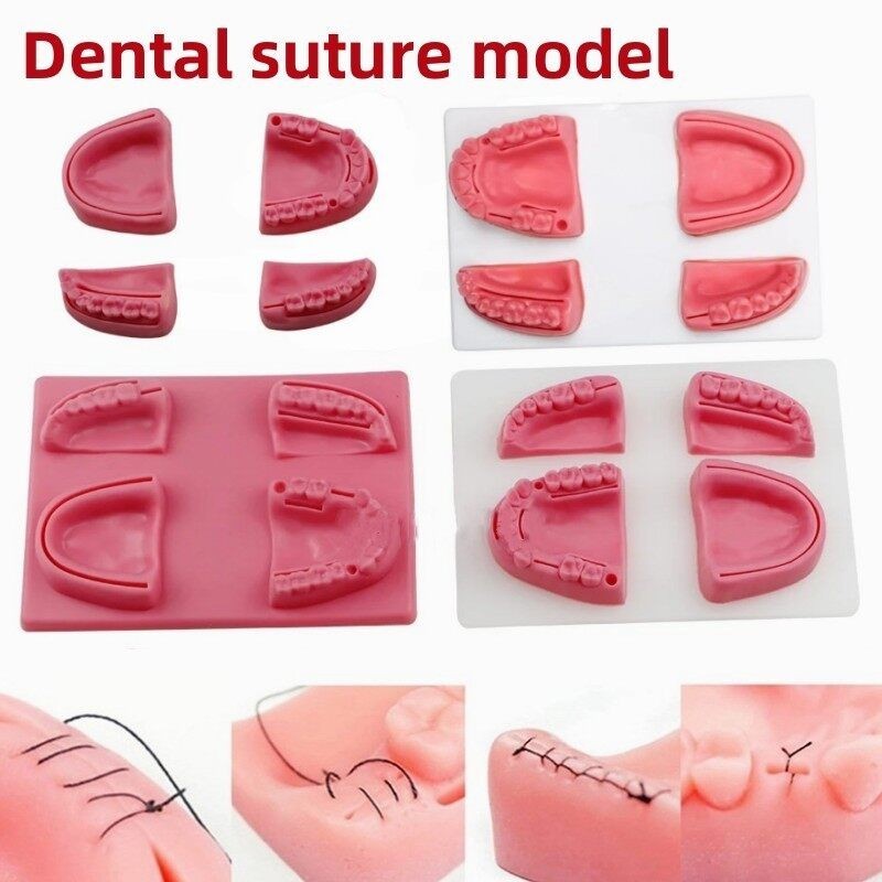 Dental Oral/Gingival Suture Module Oral Suture Model For Medical ...