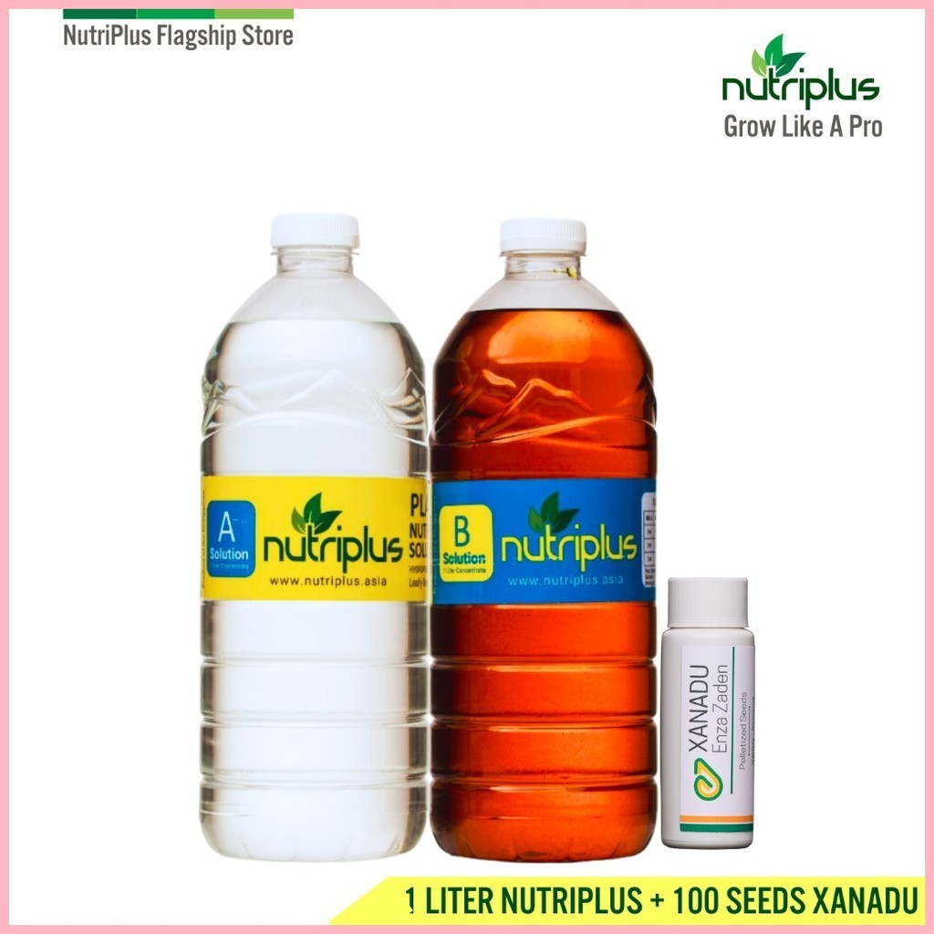 ۞ Nutriplus with Xanadu Romaine Lettuce Set | Shopee Philippines