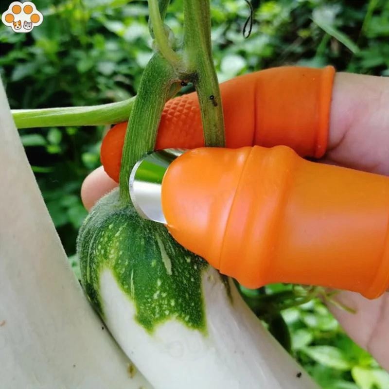 2024 Farm Vegetable Fruit Picker Pickle Chopper Pepper Pickle Tip Pick ...