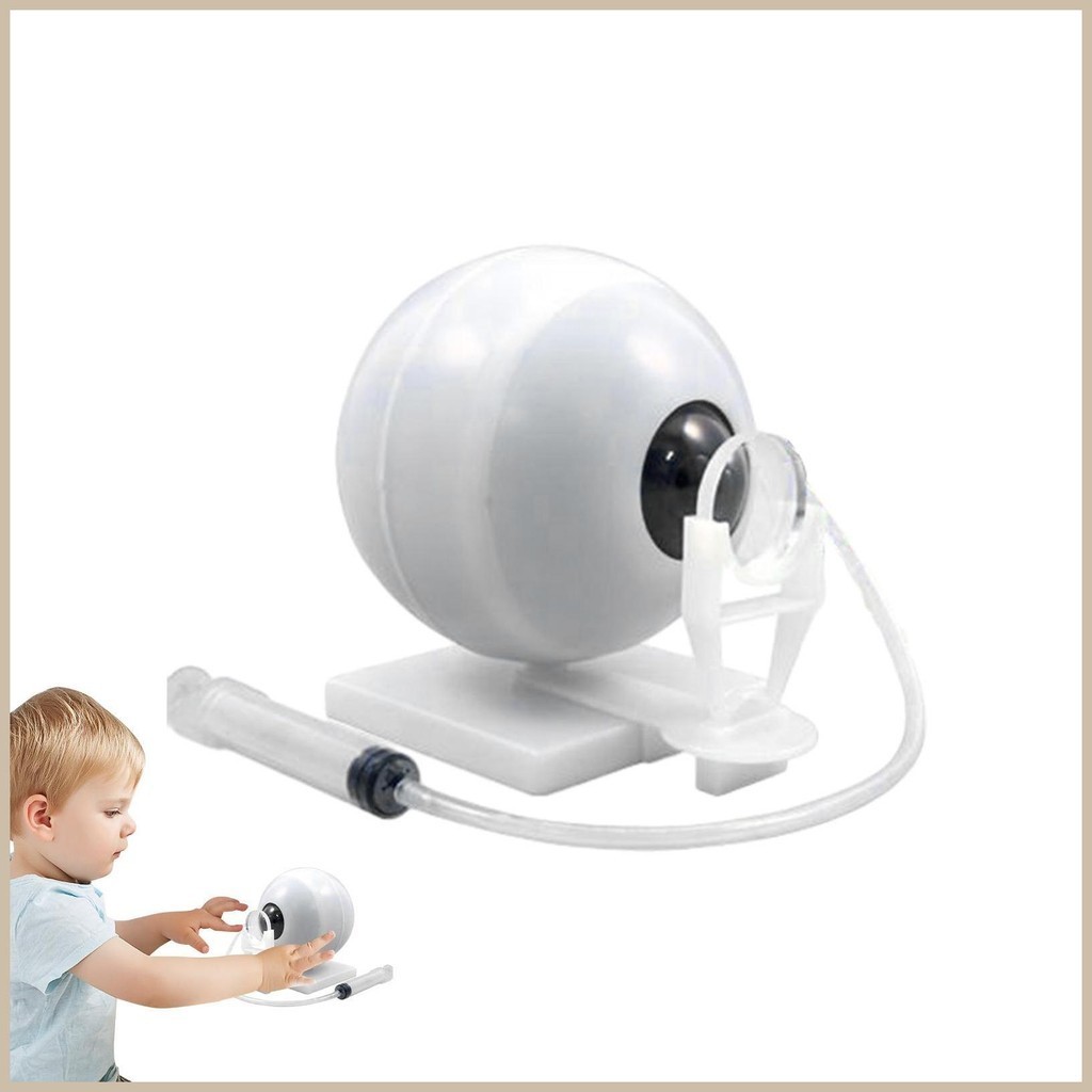 Kids Anatomy Toys Human Eyeball Anatomy Model Human Brain Model For ...