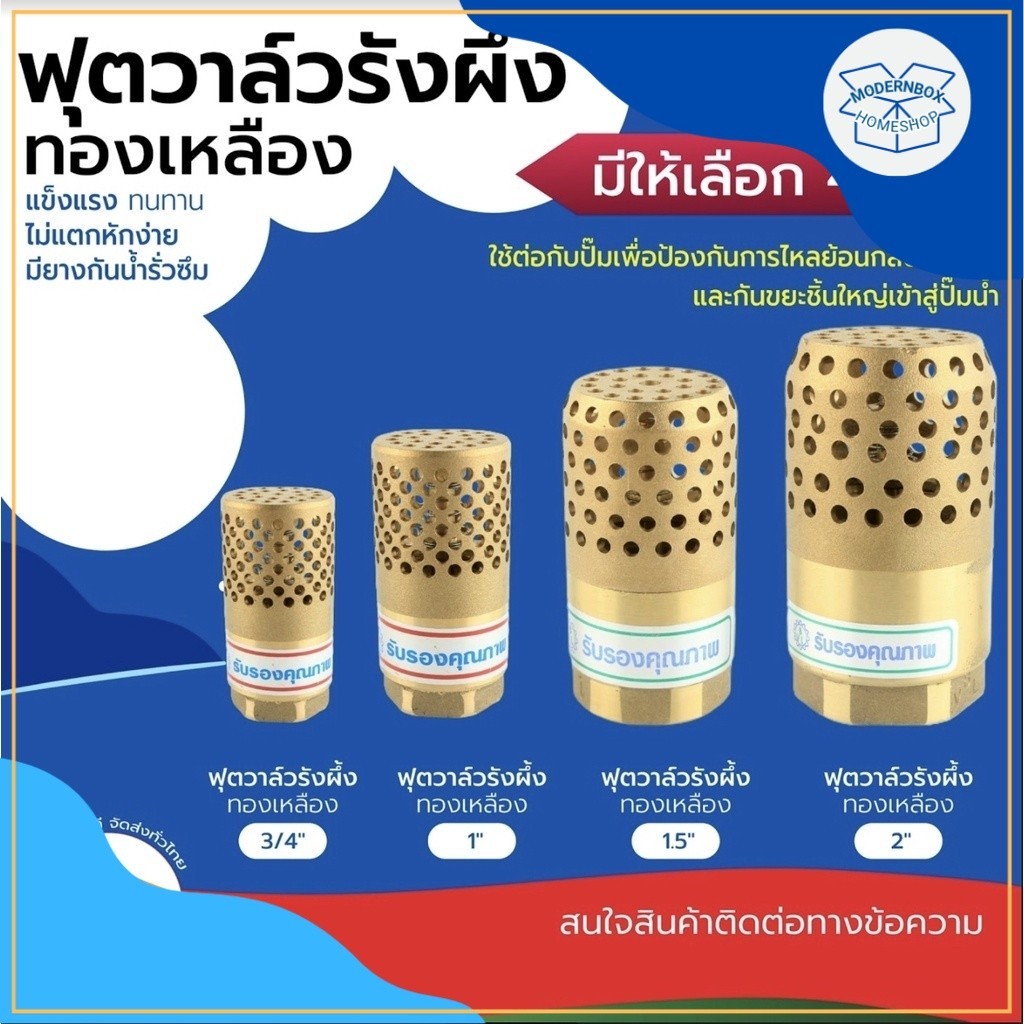 FOOT VALVE BRASS Honeycomb Skull Head 3/4 Inch 1 1.5 2 Spring Water ...