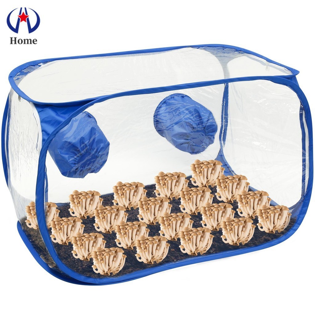 Mushroom Still Air Box Clear Mushroom Growing Kit Pop Up Mushroom Grow ...