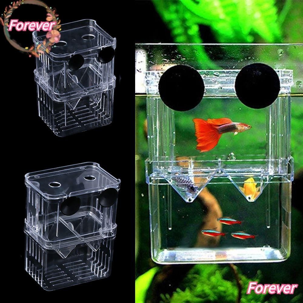 FOREVER Fish Breeding Box Transparent Hatching Acrylic Divider Double ...