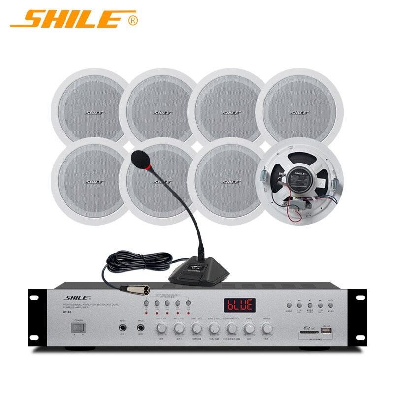 Lion Music public address sound system Speaker Amplifier Fixed Voltage ...