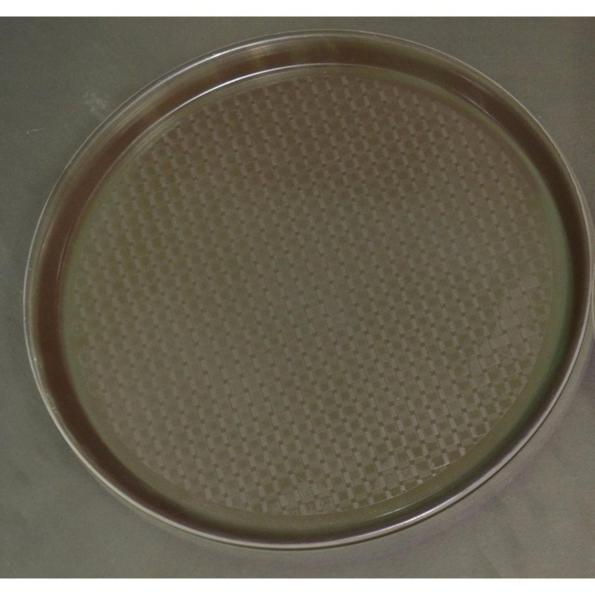 505 Plastic Tray Round 16" | Shopee Philippines
