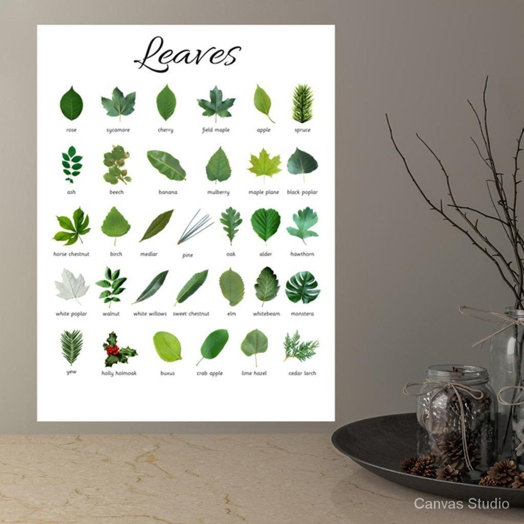 Montessori Poster Montessori Educational Homeschooling Learning Poster ...