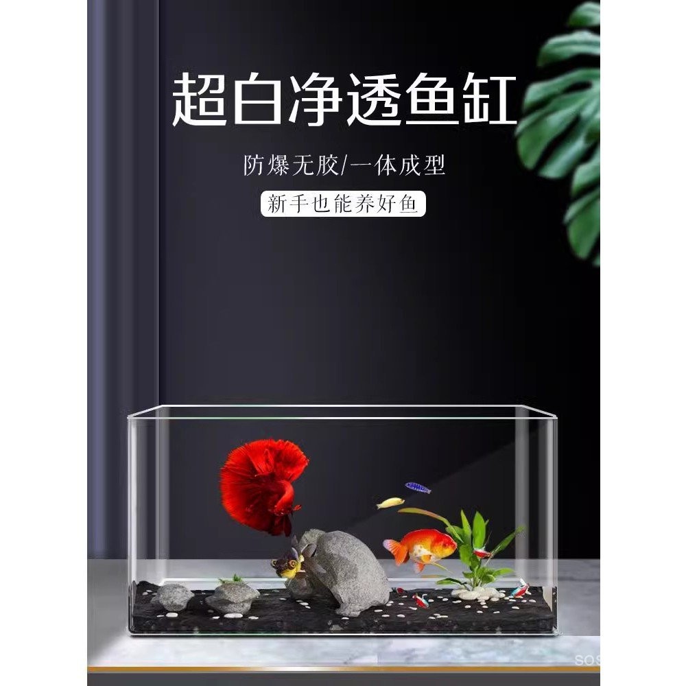 4K Ultra-Clear Acrylic Fish Tank New Model Living Room Desktop Turtle ...