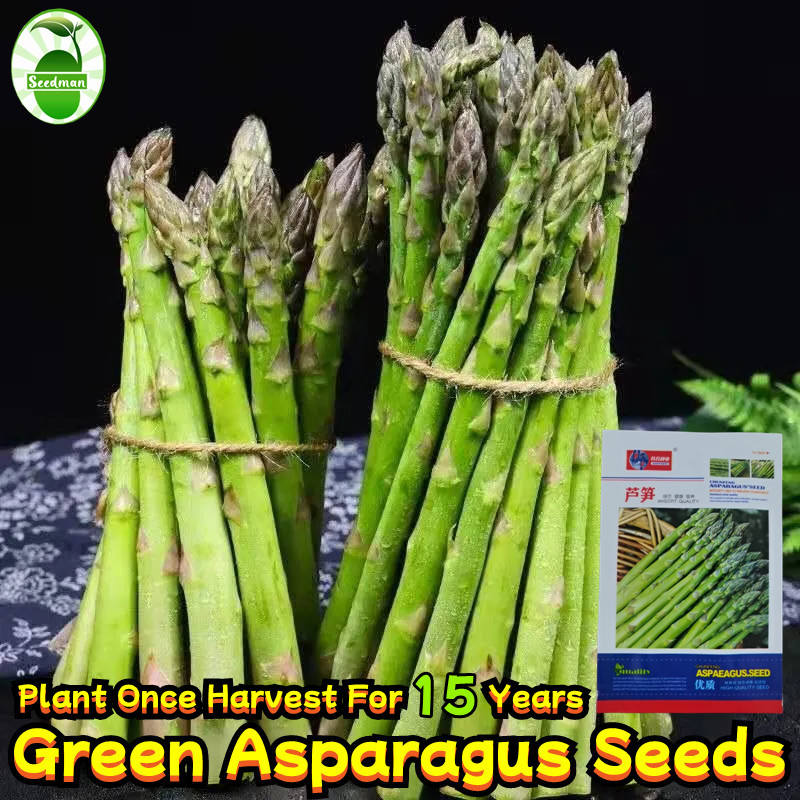 Buy Asparagus Seeds