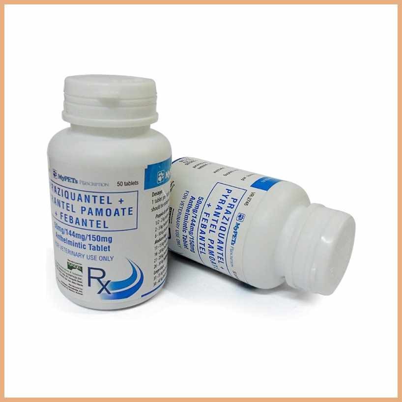 Prazivet_P*Forte|qb%Dewormer@uG+Tablet tg+dB+Md+JC+hh+(Expiry 2026 ...