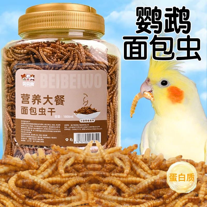 Parrot Mealworms Dried Reward Snacks for Starlings, Cockatiels ...