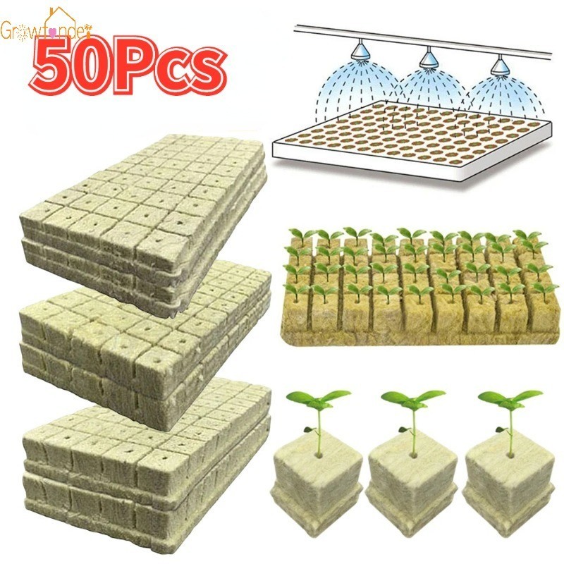 50Pcs Square Rock Wool No Soil Cultivation Seedling Blocks Grow Blocks ...