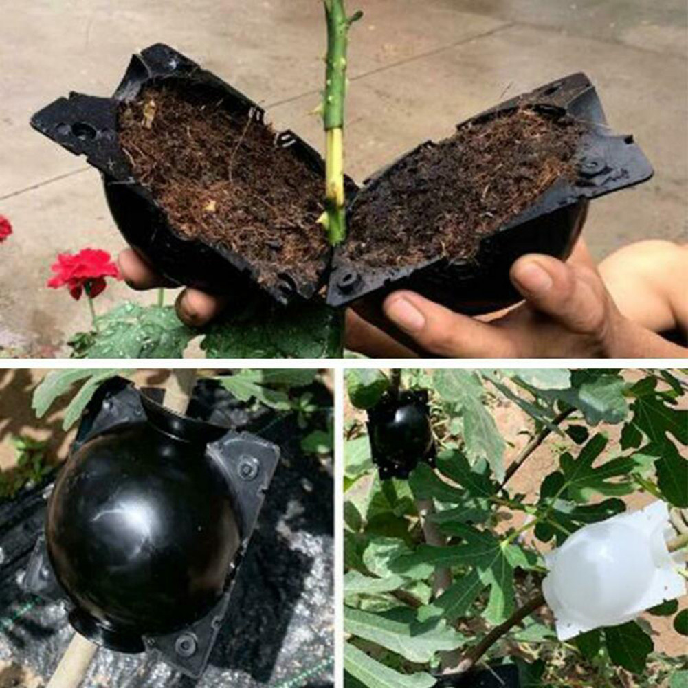 5cm Plant Rooting Box High Pressure Grafting Propagation Ball (Black S ...