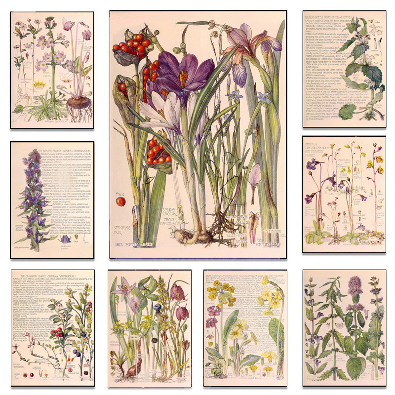 Vegetation Teaching Canvas Painting Classroom Wall Art Decor Pictures ...