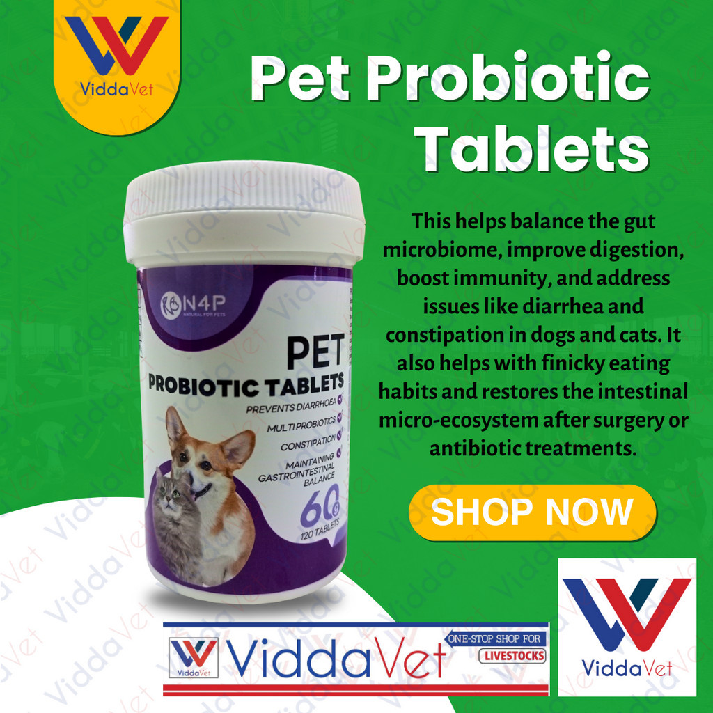 Viddavet N4P PET PROBIOTIC TABLETS 120 TABLETS Advanced Digestive ...