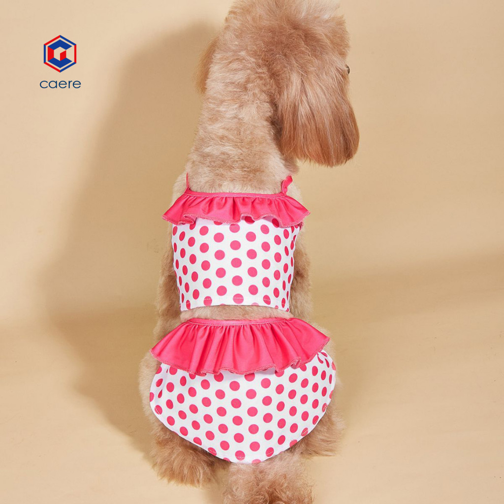 CAE| Puppy Swimsuit Cute Pet Swimsuit Colorful Polka Dot Dog Swimsuit ...