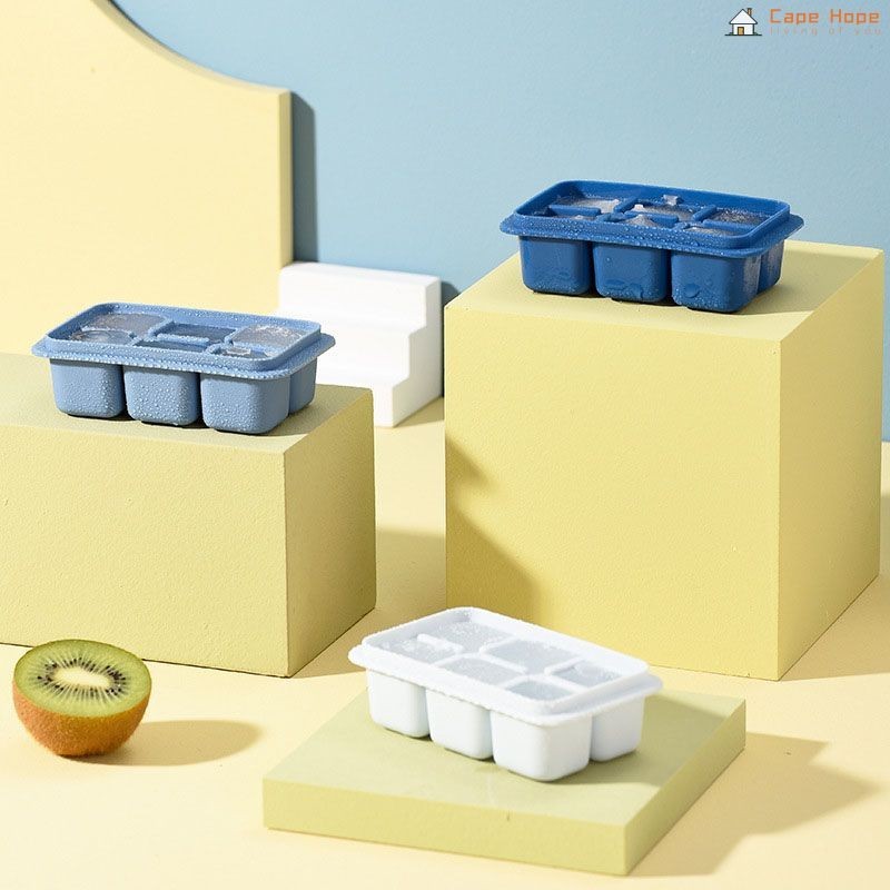 CAP☘️Ice Box Plastic Ice Lattice Mold Sealed Mini Ice Block Mold With ...