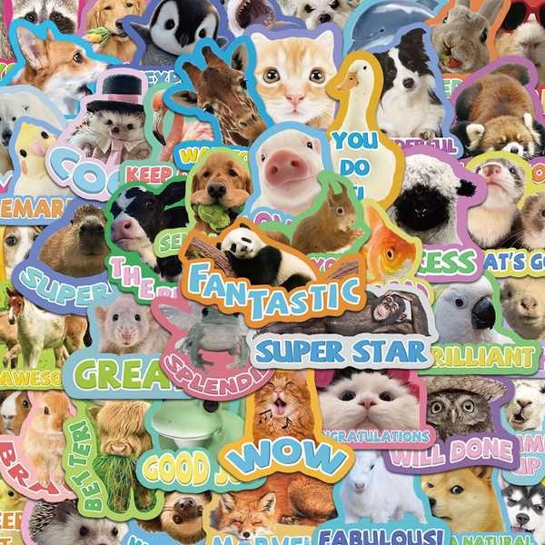 notebook school supplies school supplies notebook sticker subject for ...