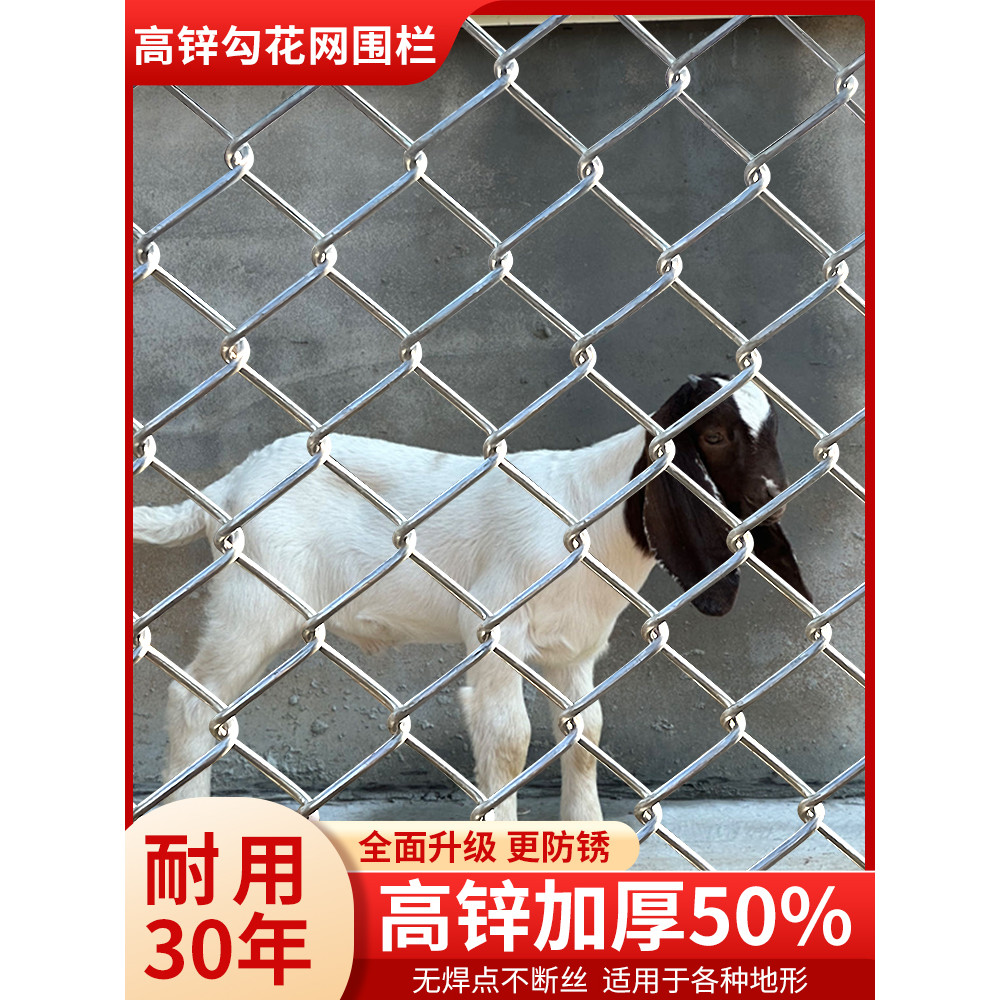 Galvanized Wire Mesh Fence Net Breeding Steel Wire Mesh Circle for ...