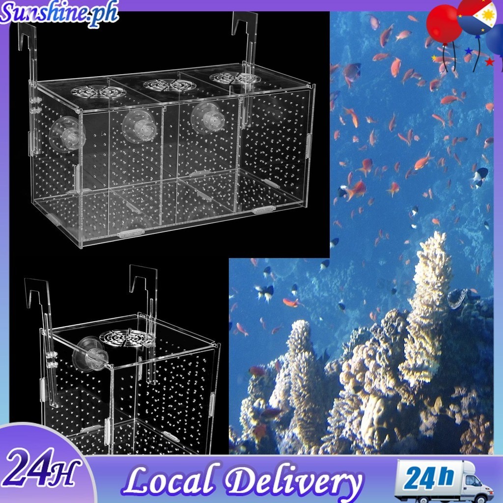 Fish Breeding Box Transparent Fish Isolation Box Acrylic Fish Isolation ...