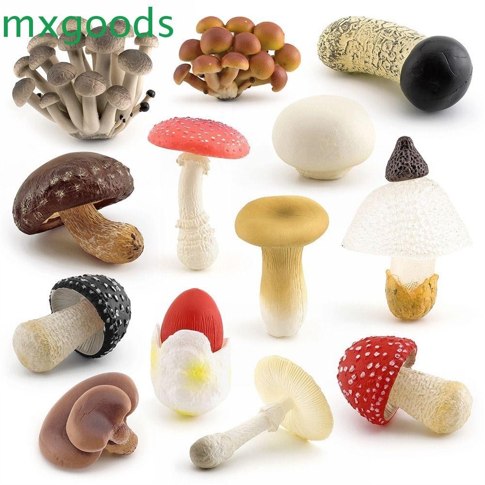 MXGOODS Fungus Figurines, Vegetable Model Matsutake Oyste Simulation ...