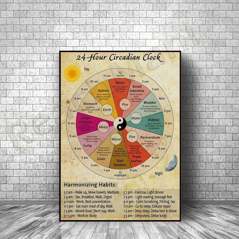 24 Hours Biological Clock Poster, Organ Clock Wall Art, TCM Wellness ...