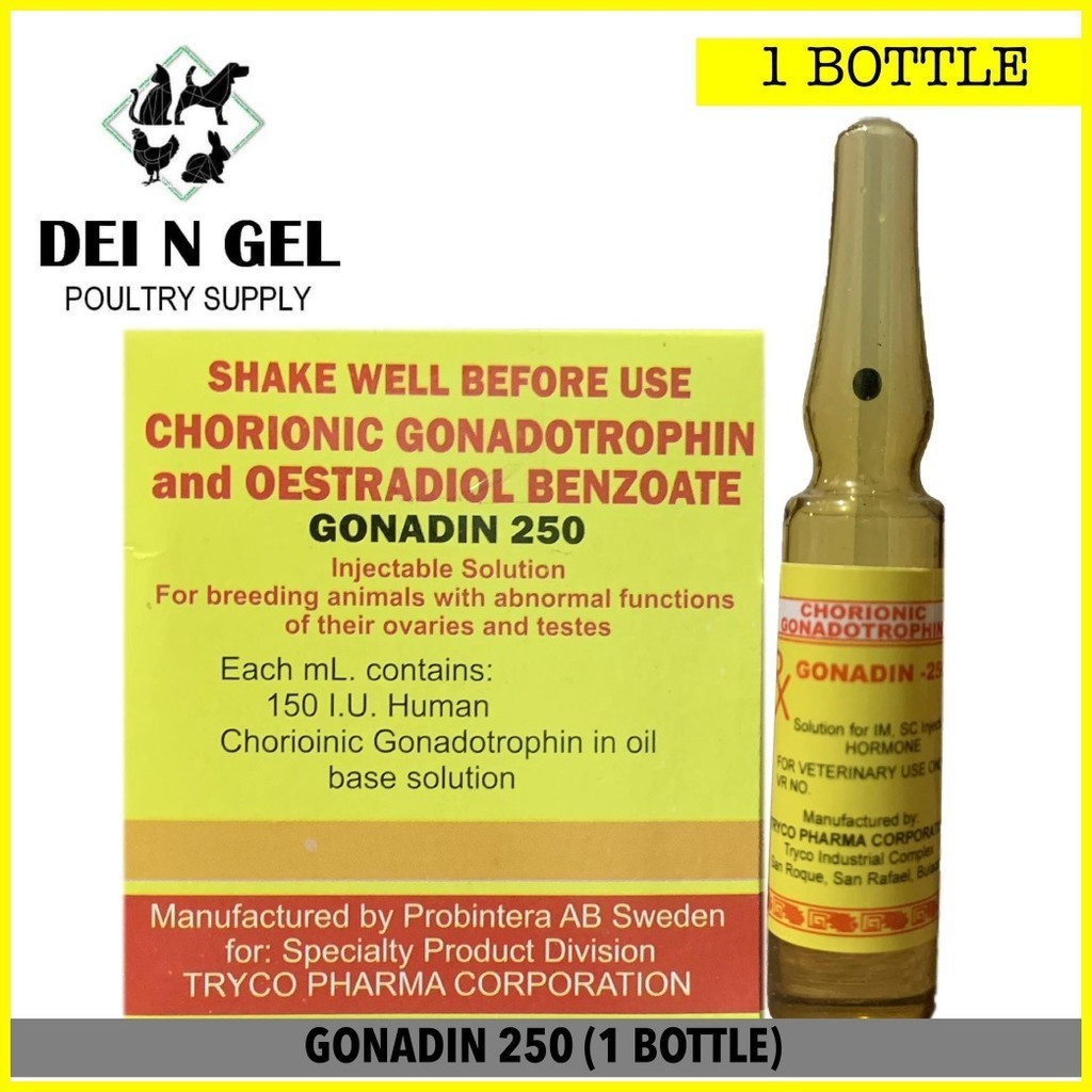 ♂ ⭐ GONADIN 250 INJECTION SOLUTION (2ML AMPULE) | Shopee Philippines