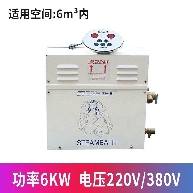 Sauna Steamer Wet Steam Home Commercial Heating Steam Generator A Steam ...